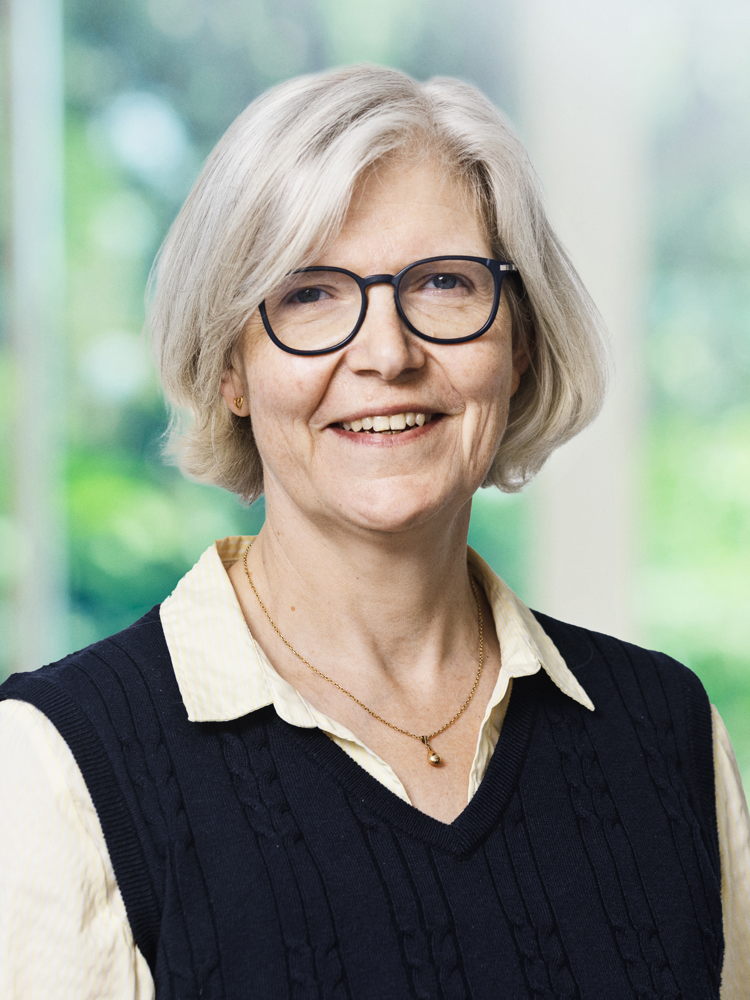 Mød ledelsen og bestyrelsen i TDC NET